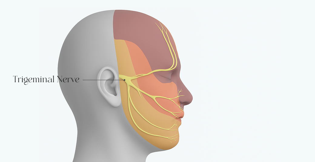 Typical Symptoms of Nerve Damage After Root Canal Treatment
